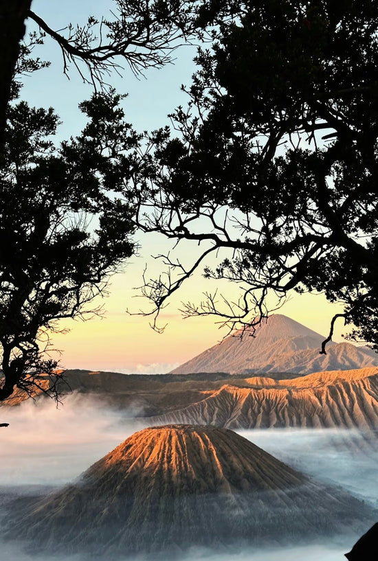 LEWIS Brakes Dealer – Lewis Technology